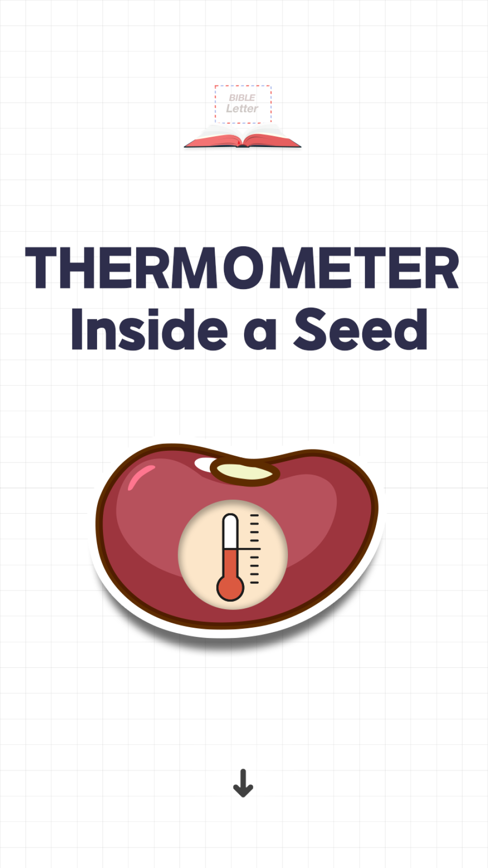Thermometer Inside a Seed